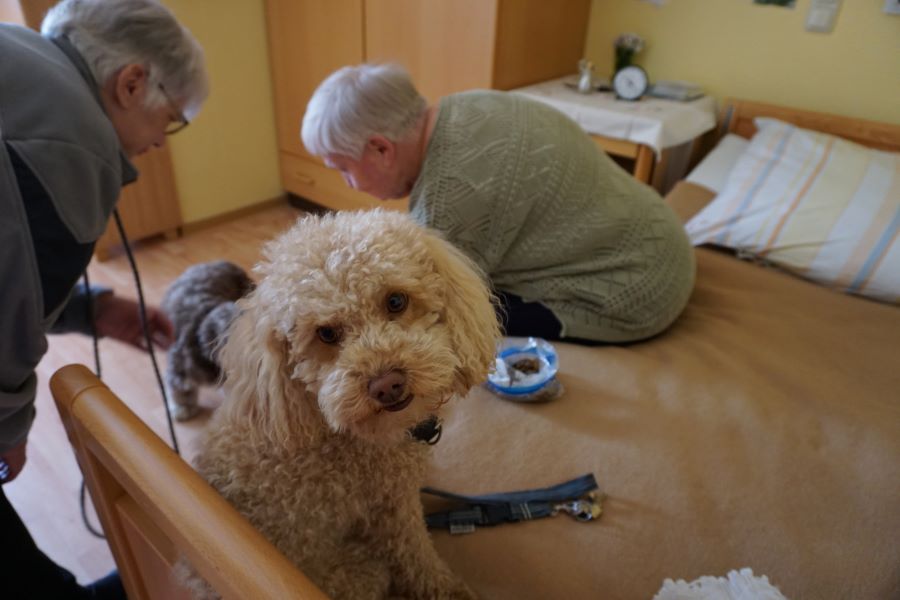 Spürnasen zum Tag der Pflege im Johannisheim | Johanniter